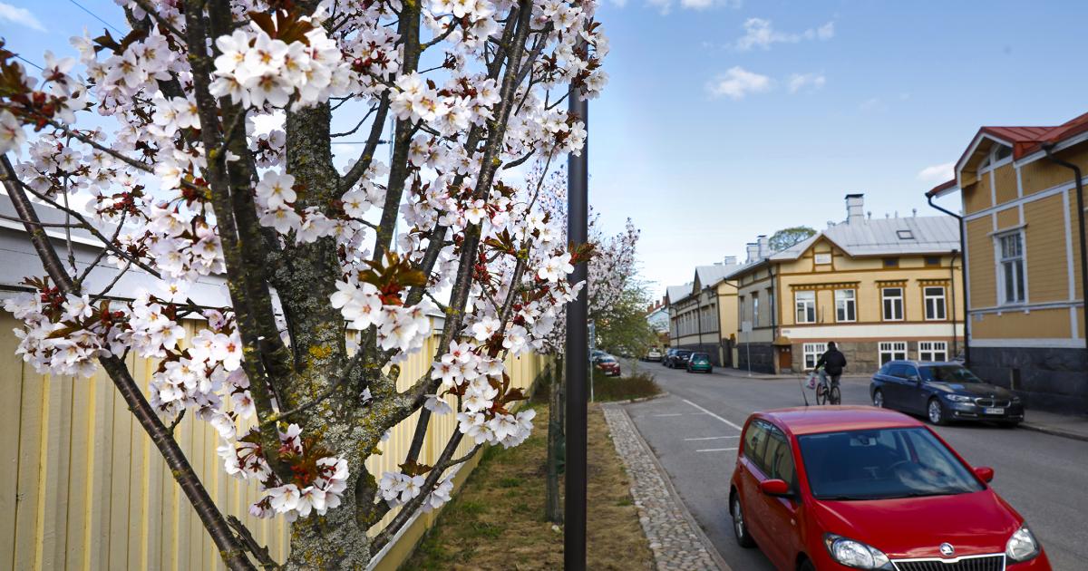 Pysäköintialueet ja -maksut | Turku.fi