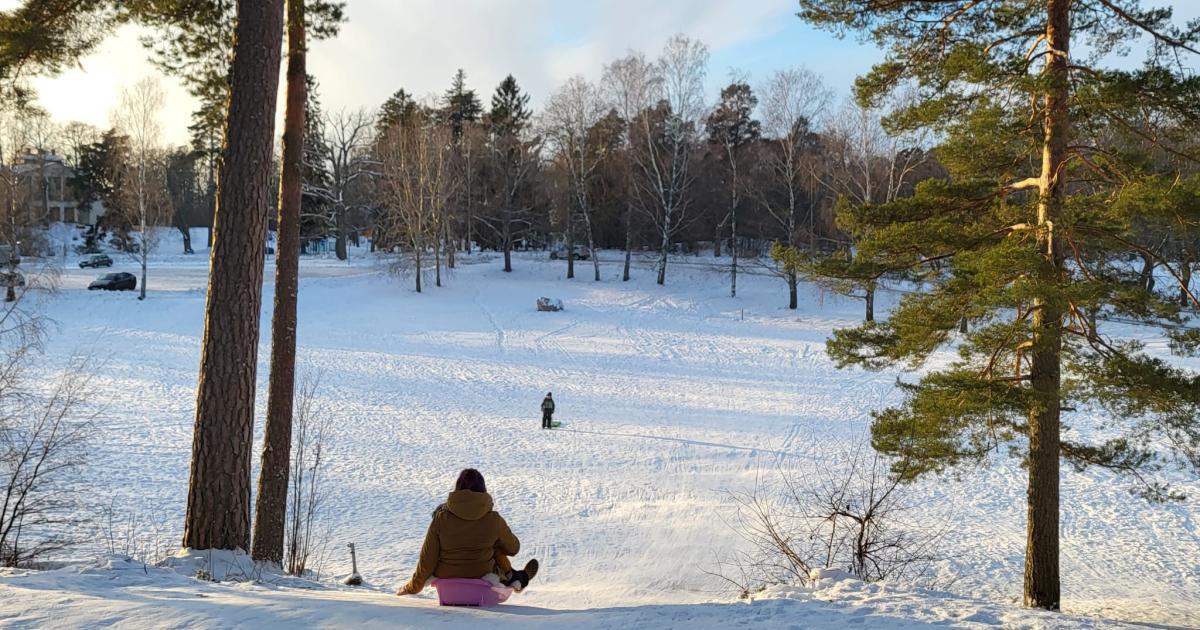 Laskettelu ja pulkkamäet | Turku.fi