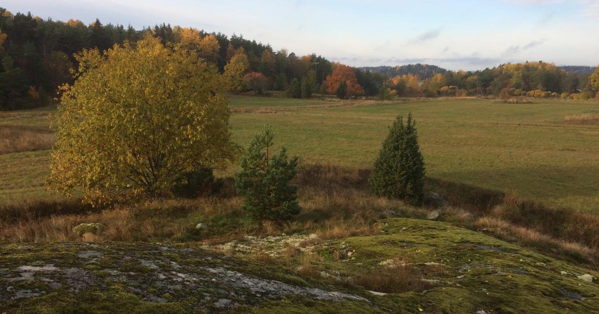Satava-Kakskerran osayleiskaava | Turku.fi